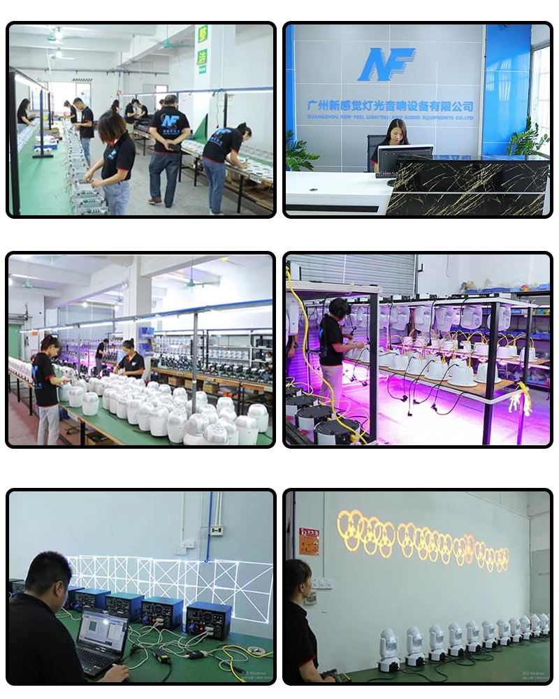 Outdoor Integrated Pangolin FB4 40W RGB Laser Light Show