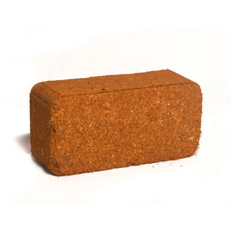 50 Cell Factory Coco Coir Peat Soil Plug for Vegetable Plant Cutting ...