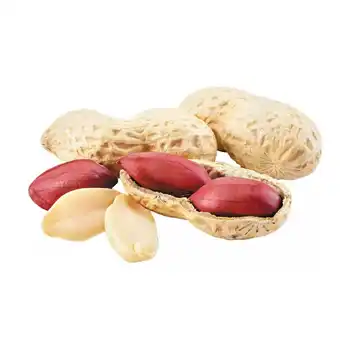 Premium Roasted Peanuts Irresistible Taste And Crunch In Every Bite ...