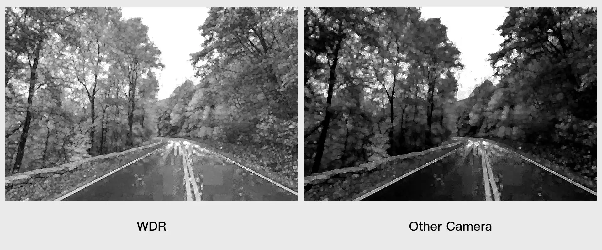 Original CADDXFPV Infra Camera for DIY FPV Drone AI Image Enhancement ...