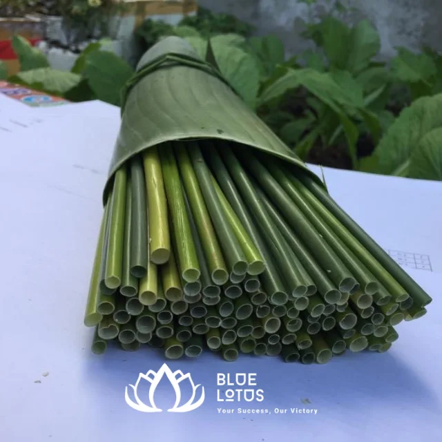 Eco Friendly Green Grass Straws From Vietnam Biodegradable Eco Friendly ...