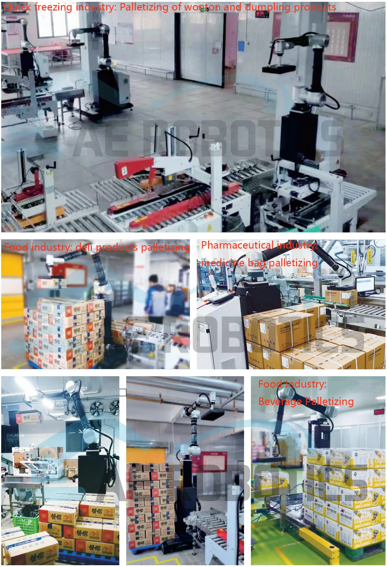 AE20 Collaborative Palletizing Cobot - Large-Load Capabilities