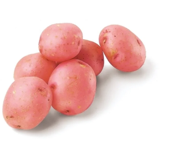 Patatas Rojas Frescas - Buy Patata Patatas Frescas De Patata Dulce ...