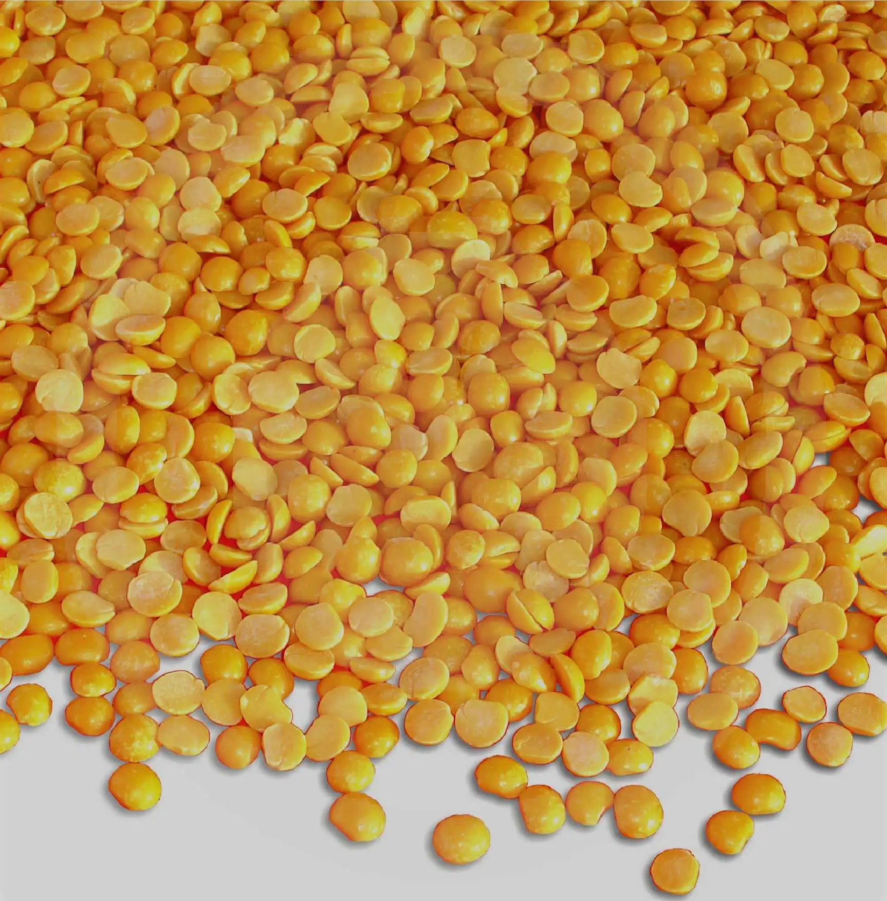 Yellow Pigeon Pea Split,Toor Dal,Yellow Split Lentils - Buy Canadian ...