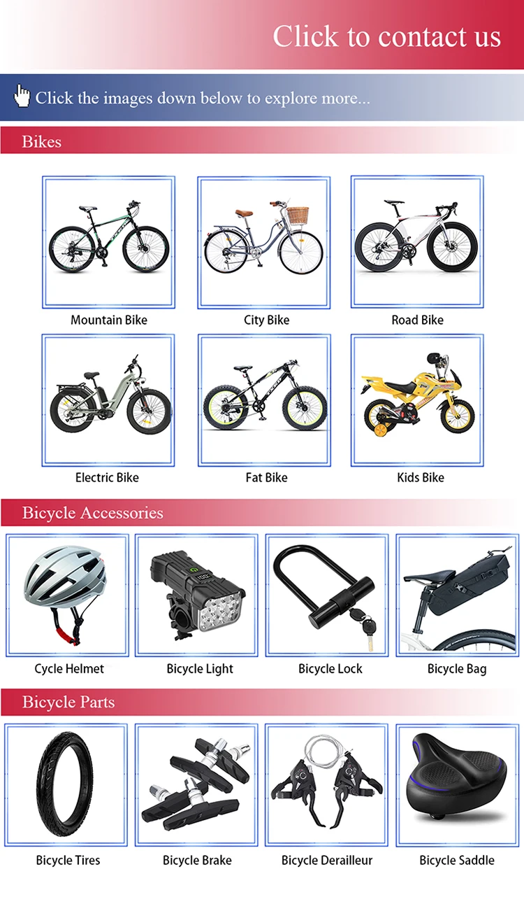 High Quality Fashional Bicicleta Chinesa 28 Traditional Bicycle Made in ...