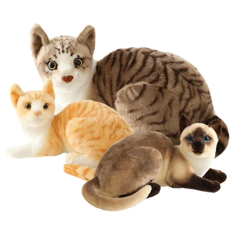 Realistic Stuffed Animal Siamese Cat Plush Doll Customized Tanuki Cat ...