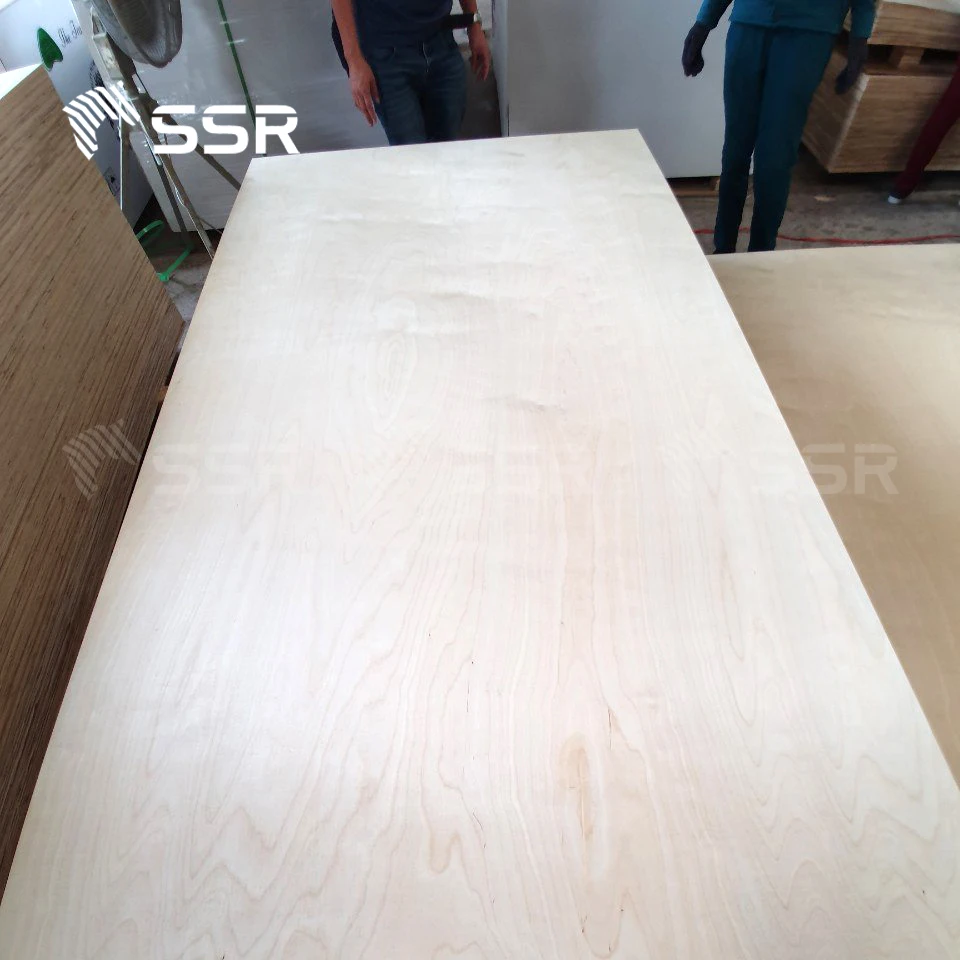 SSR VINA - Premium Birch Plywood for Construction & Flooring