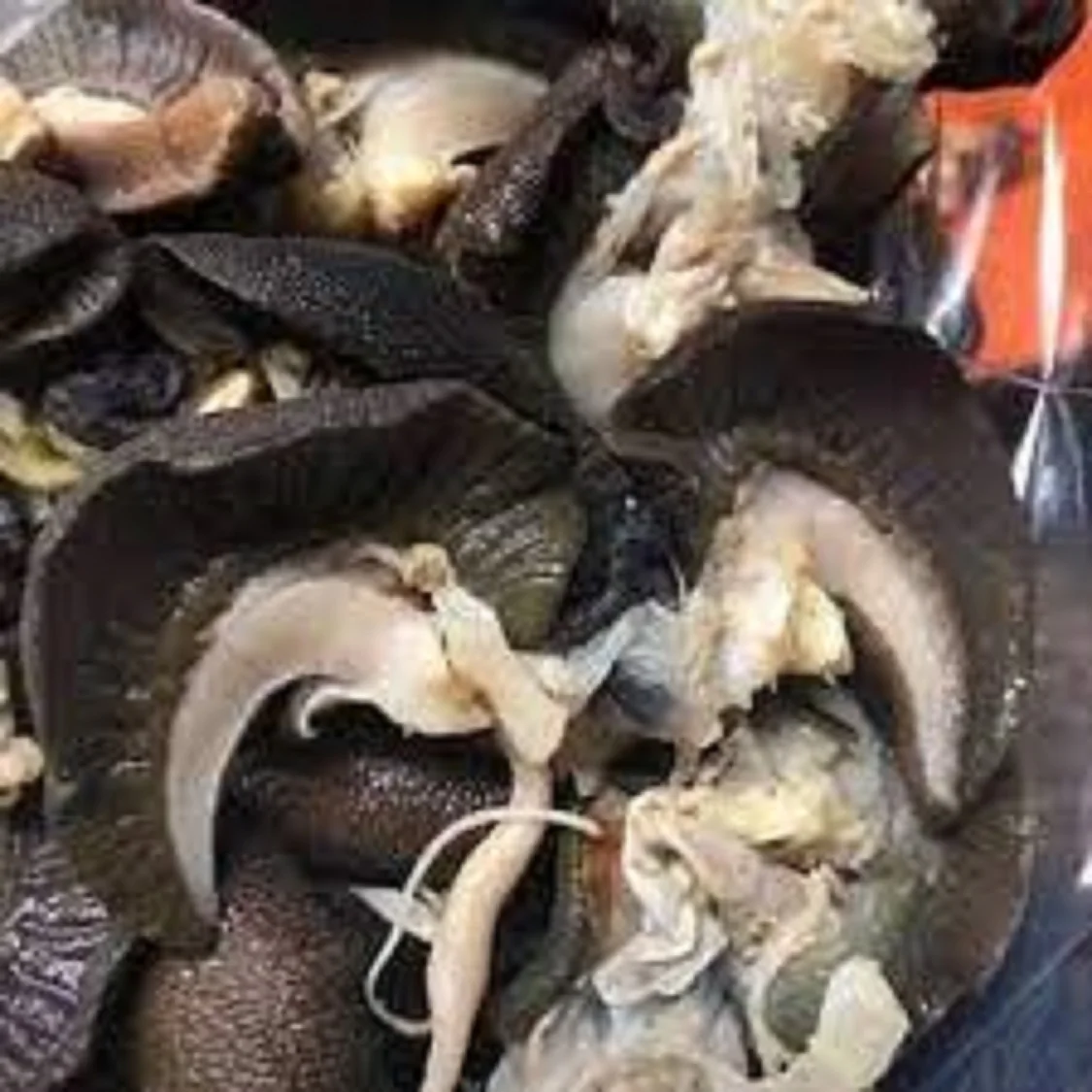 High Quality Fresh Frozen Snail Meat Dried African Land Snails Meat For ...