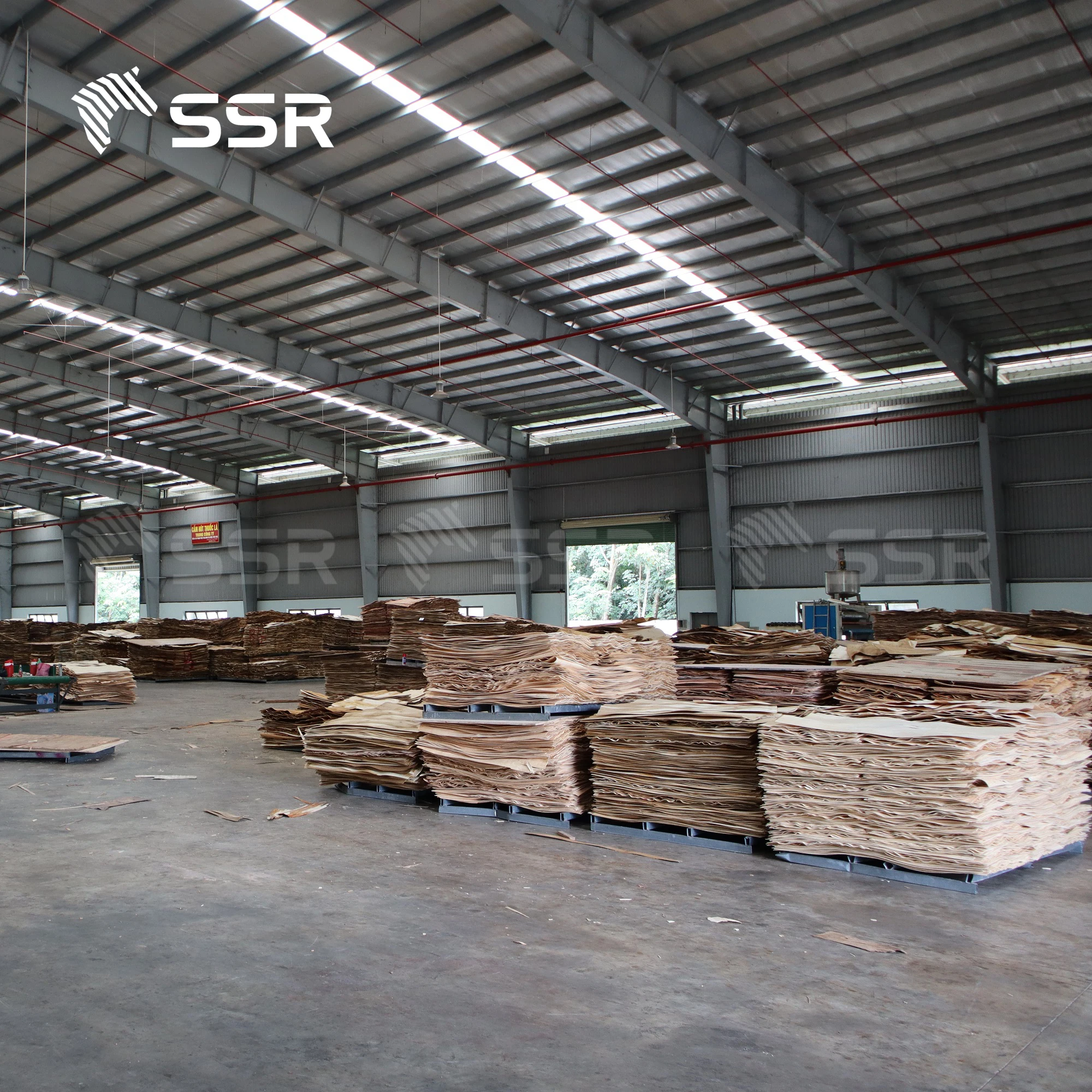 SSR VINA - Premium Birch Plywood for Construction & Flooring