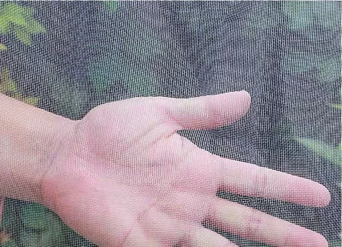 Agriculture Polyethylene Insect 40 Mesh Net Greenhouse Net for Tree ...