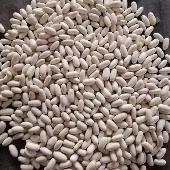 White Kidney Beans Long Shape Big White Kidney Beans - Buy White Beans ...