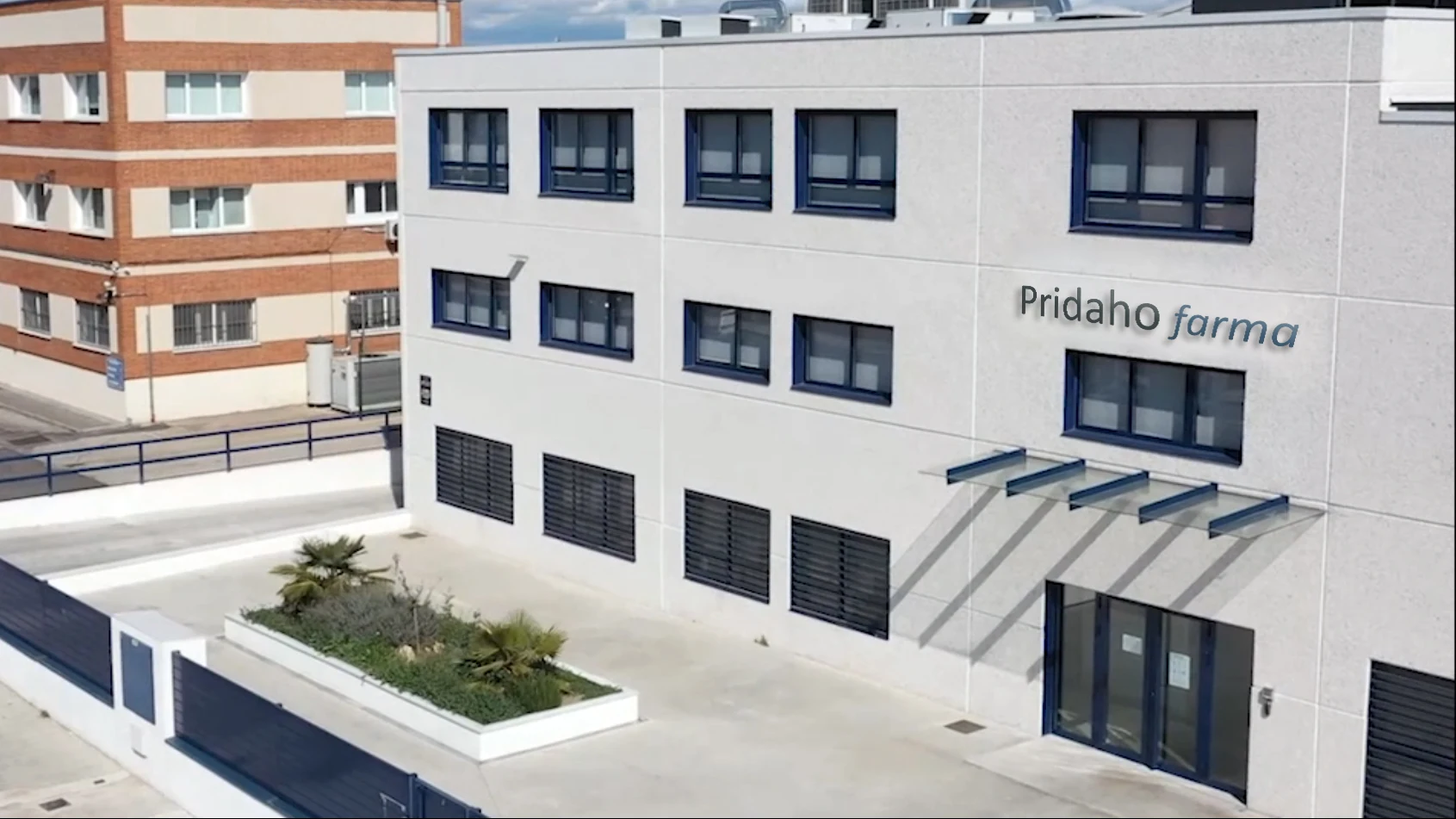 Excellent Quality Quinine Extract Nourishing Fortifying Hair Shampoo ...