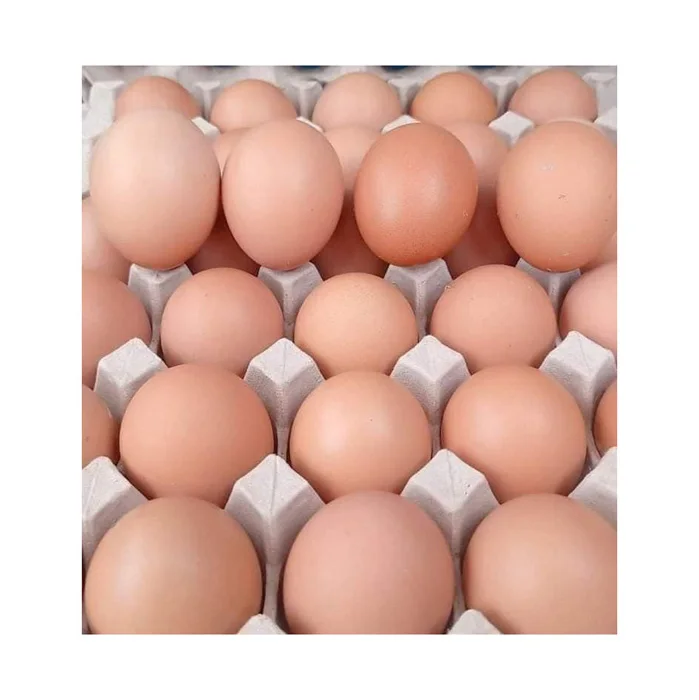 High Quality Factory Direct Price Farm Fresh Brown Table Chicken Eggs ...