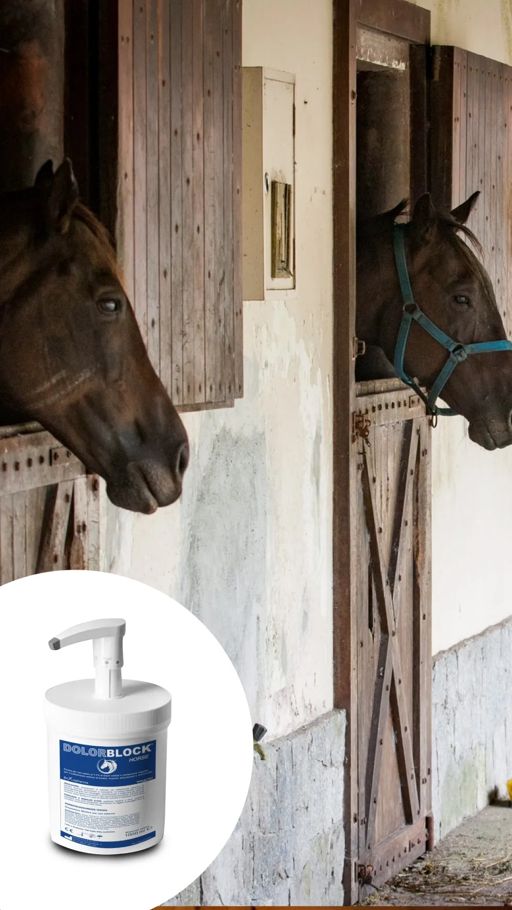 Made In Italy Dolorblock Horse 1000 Ml Airless Dispenser Anti ...