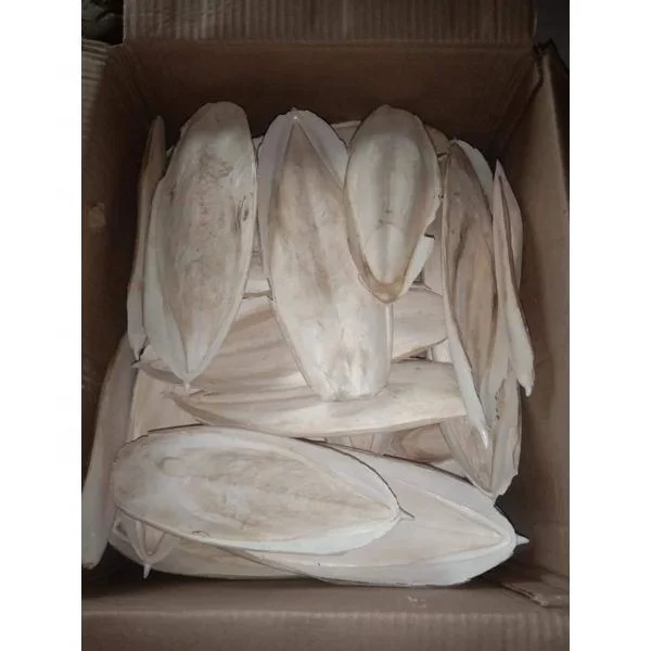 Fresh Cuttlefish Bone Available To Sale - Buy Cuttlebone,Cuttlefish ...