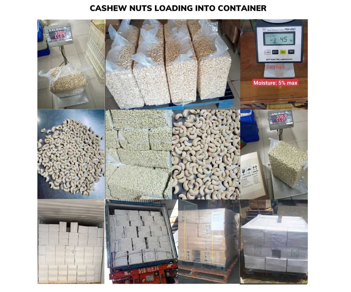 Vietnam Cashew Nuts Cashew Nut Roasting Machine Cashew Nuts For Sale ...