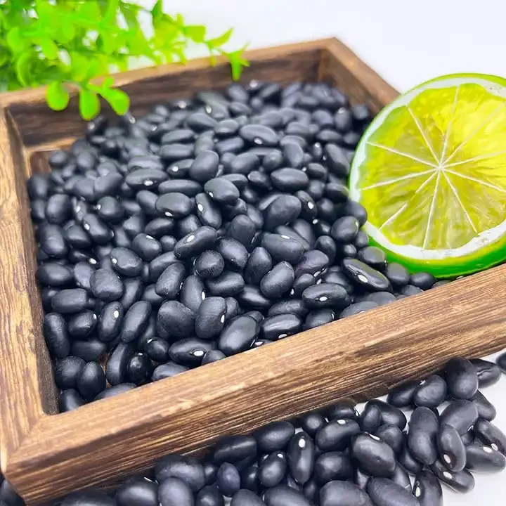 Kidney Beans Processing Harvested Kidney Beans - Buy Kidney Beans ...