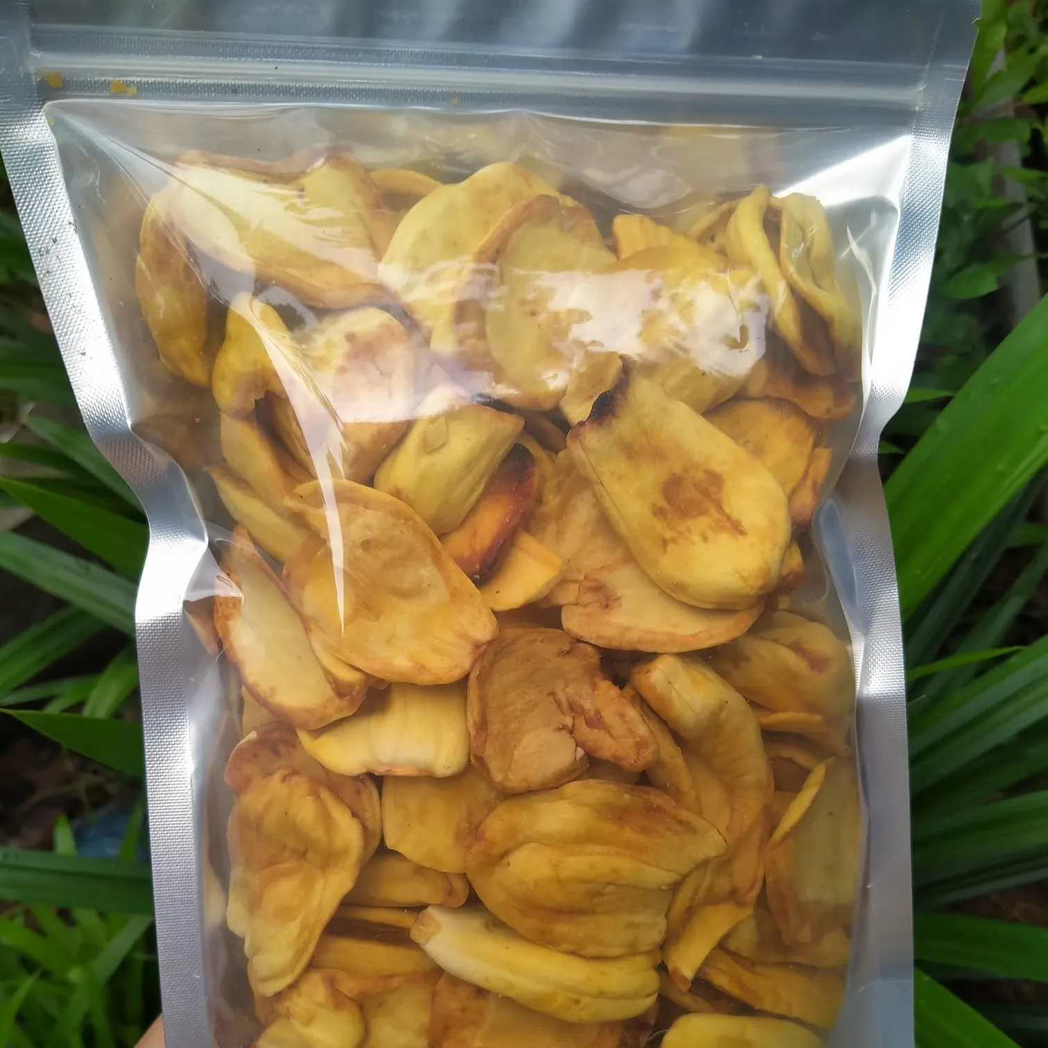 Vietnam Dried Jackfruit - Healthy & Sweet Organic Fruit