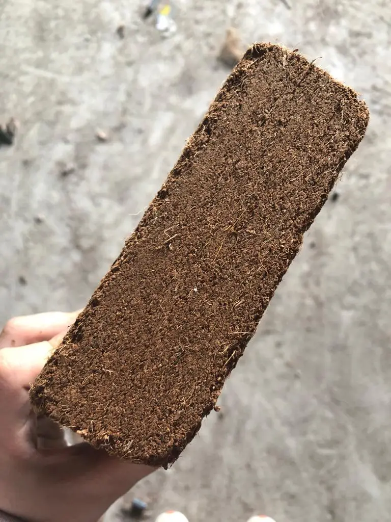 Coco Peat For Seedling Propagation Raw Coir Pith Low Ec Coco Peat For ...