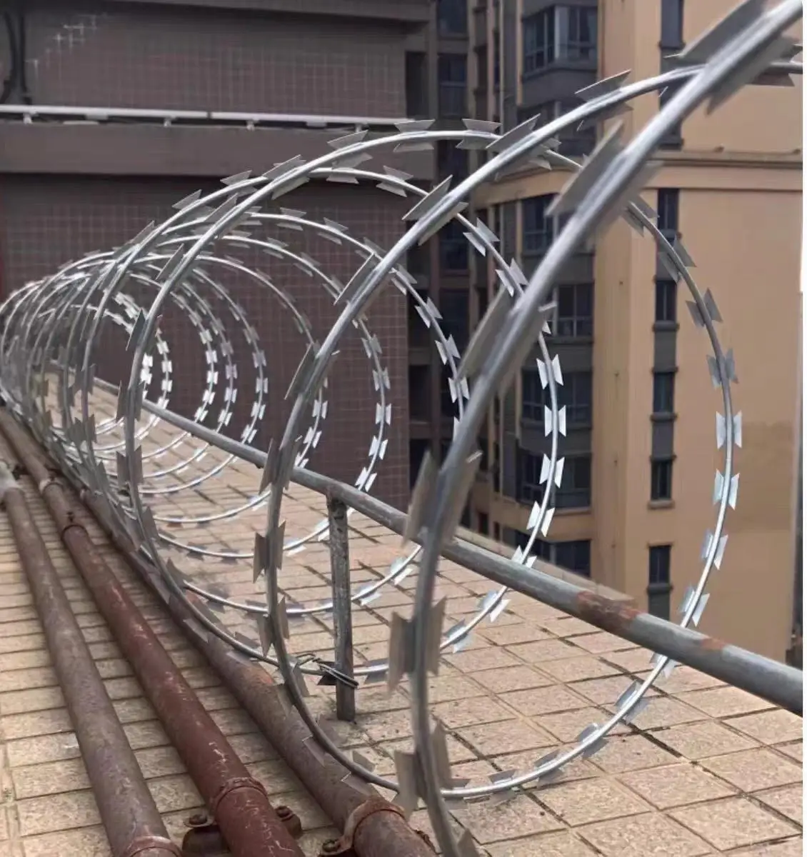 Galvanized Steel Snake Belly Razor Barbed Wire Net with Thorns ...
