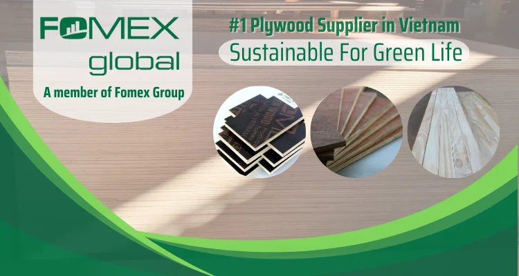 Vietnam Manufactured 5-24mm 4x8ft C/d Grade Birch Plywood Made Of ...