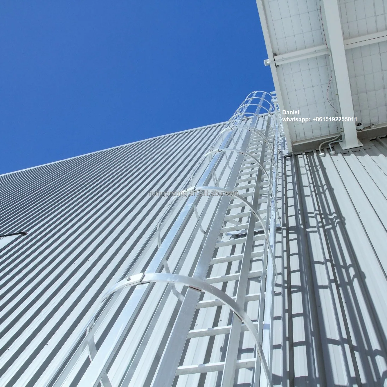 Aluminum Step Safety Cat Cage Ladder - Buy Aluminum Cage Ladder,Roof ...