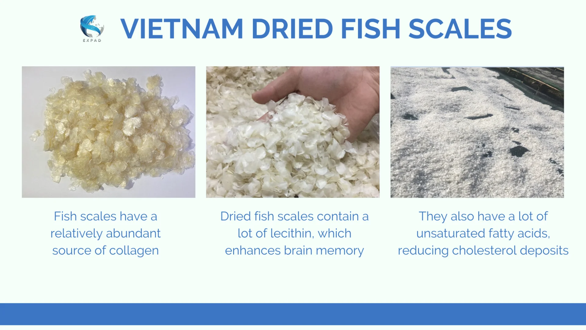 Sea Bass Fish Scale Viet Nam Export High Quality Red Tilapia Scale ...