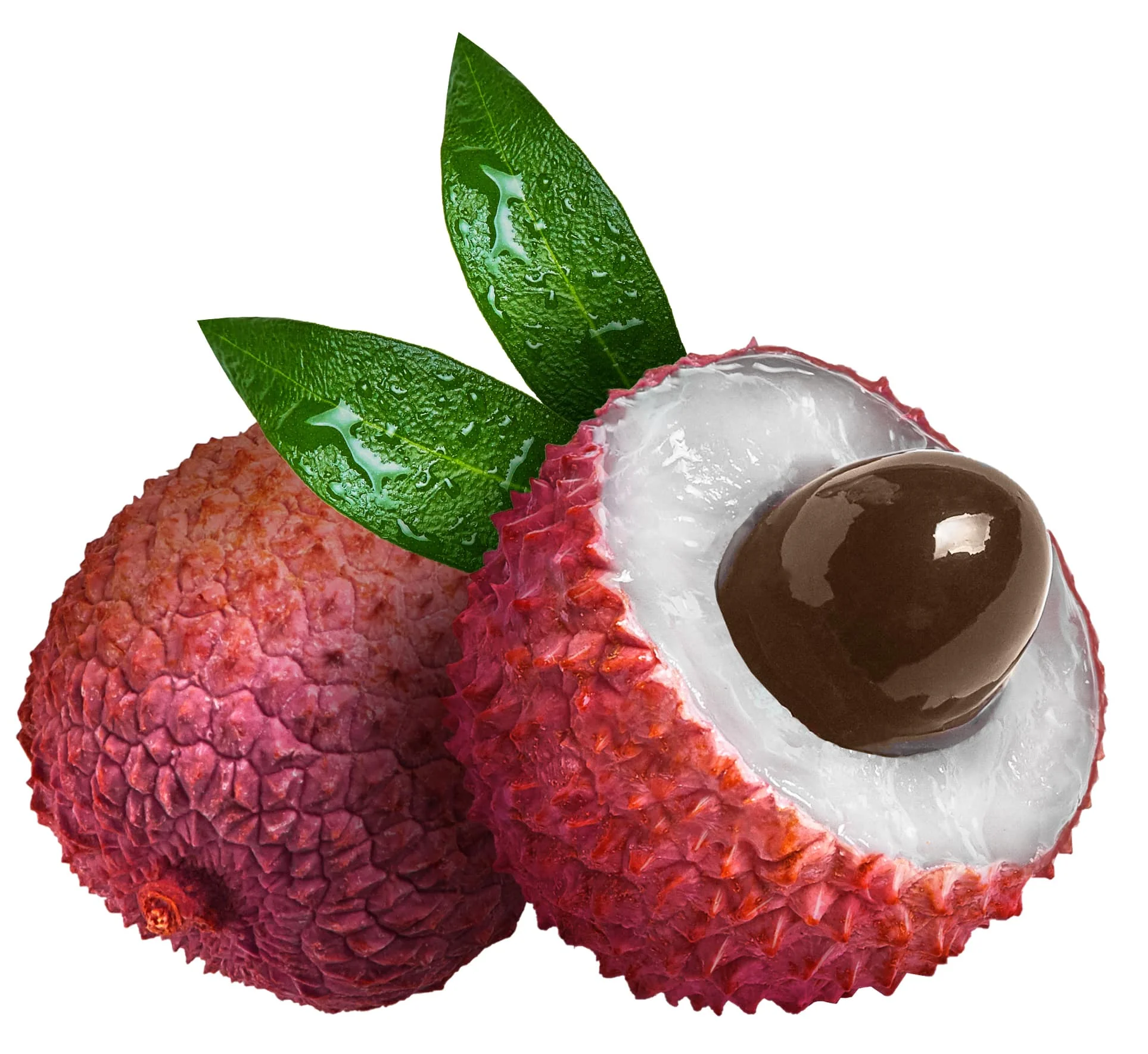 Fresh Frozen Lychee from Vietnam - Wholesale Export| Alibaba.com