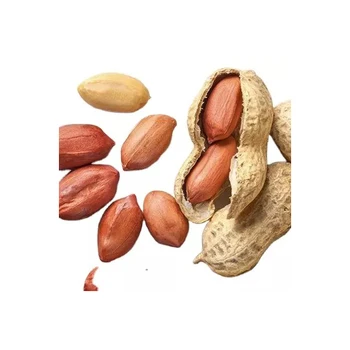 Raw Peanuts,Peanut,Roasted,Raw Ground Nuts For Sale At Cheap Prices ...