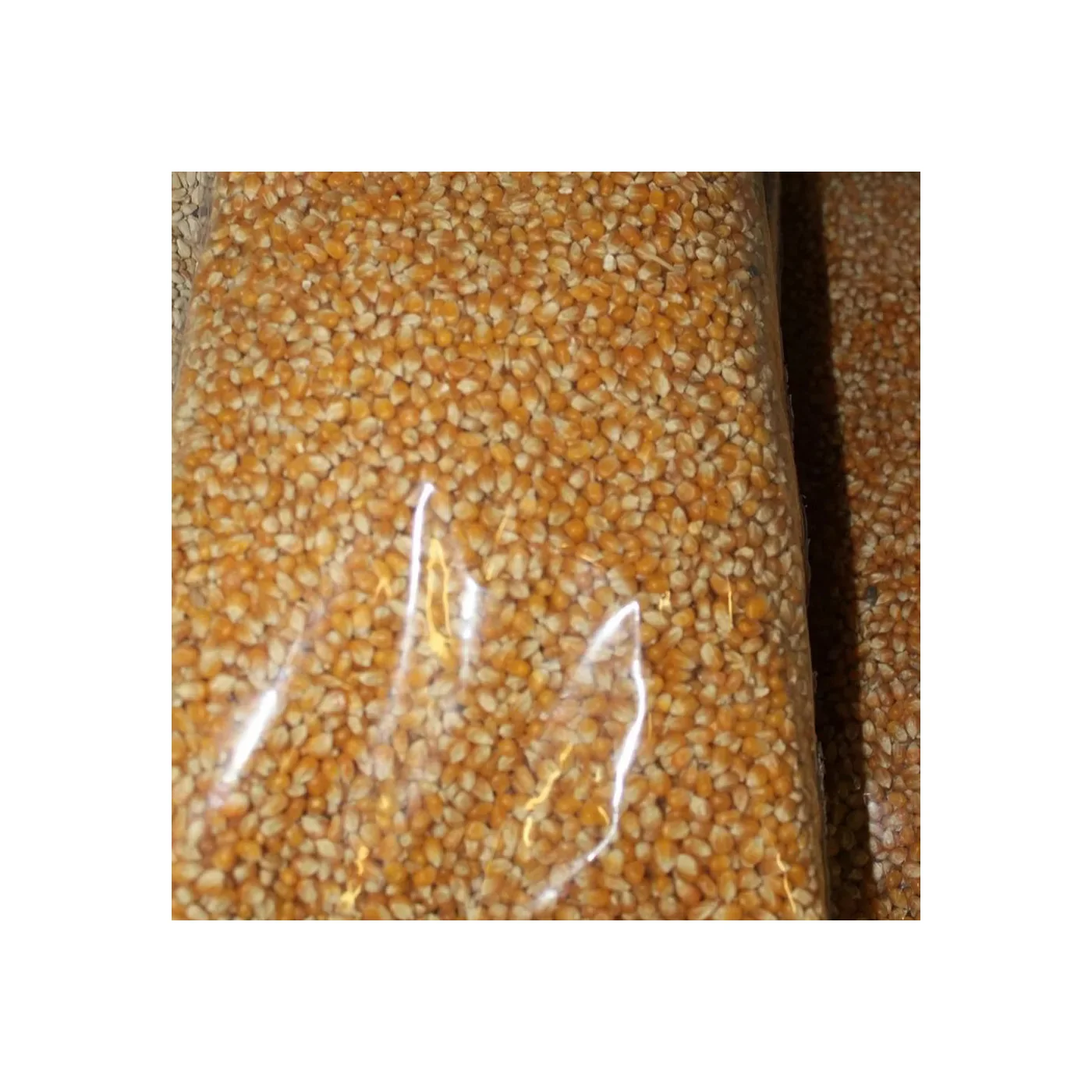 1Kg 500 Kg Popcorn Pop Corn Maize Raw Popping Kernels NON- GMO Kilo|100 ...