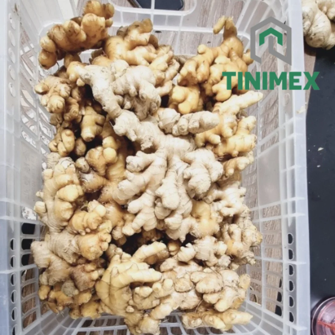 Fresh Ginger From Vietnam By Tinimex 100% Organic: Unveiling The ...
