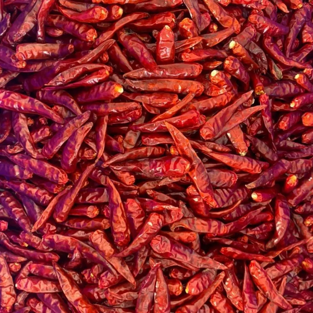 Dehydrated Whole Chilli Dehydration Technology Vietnam Agricultural ...