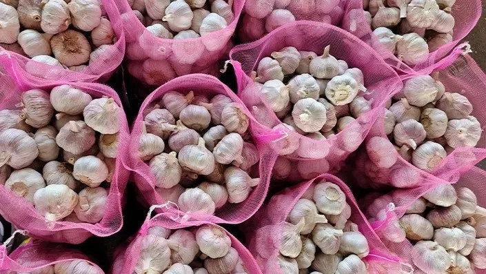 Fresh Natural White Garlic/ 2024 Harvest/ Top Quality Garlic/ Natural ...