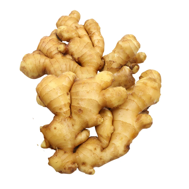 Wholesale Raw Materials Fresh Ginger Yellow Natural Origin From Austria ...