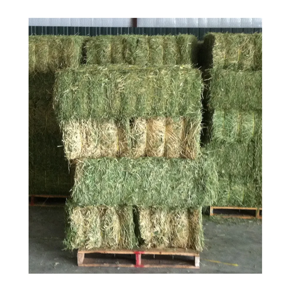 Quality Timothy Hay Quality Alfalfa Hay/ Timothy Hay and Lucerne Clover ...
