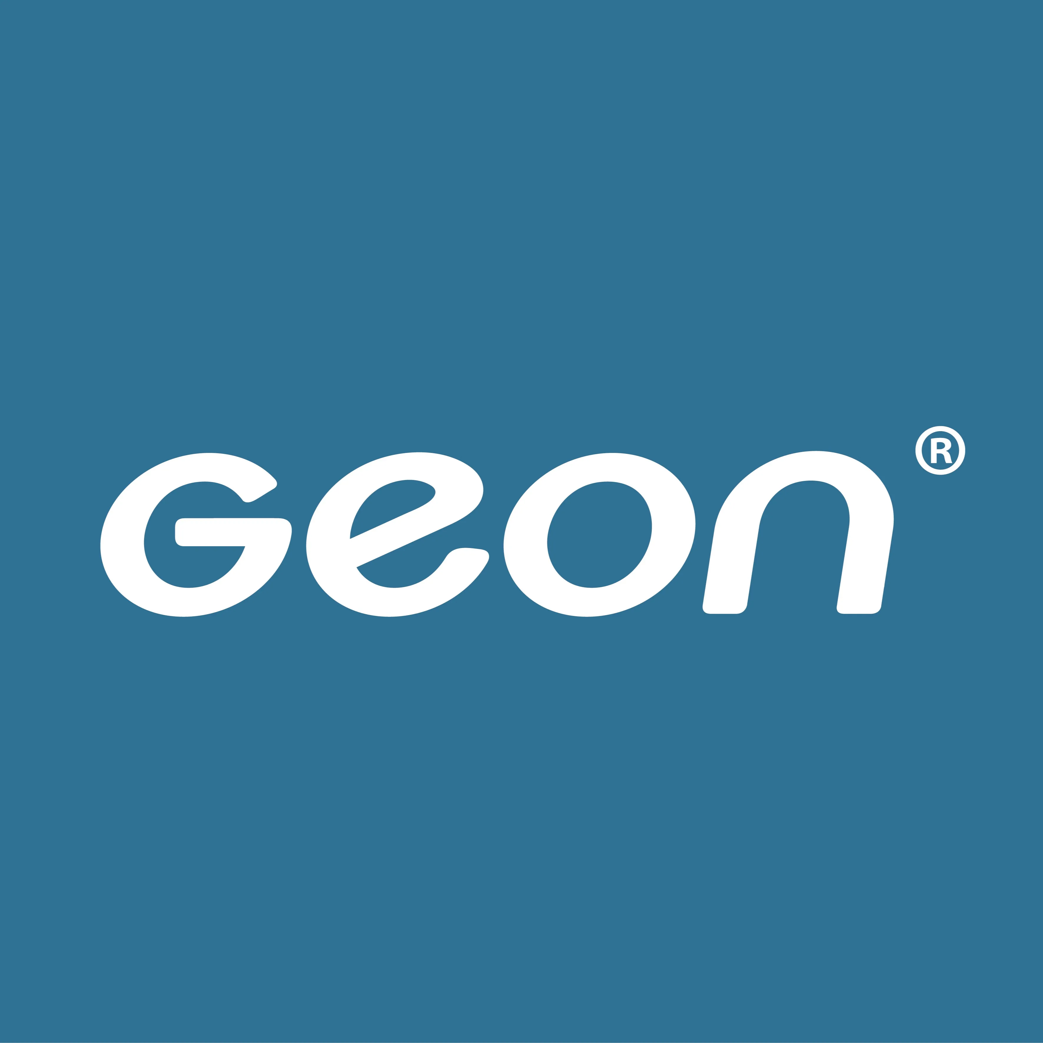Company Overview - GEON CORPORATION