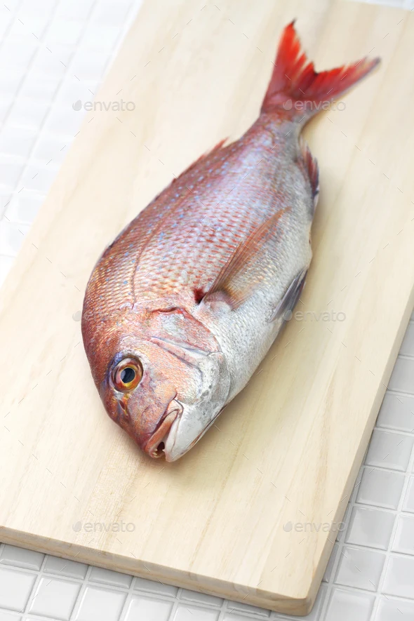 Frozen Red Seabream Fish /frozen Mackerel Fish Frozen Tilapia Fish Red ...