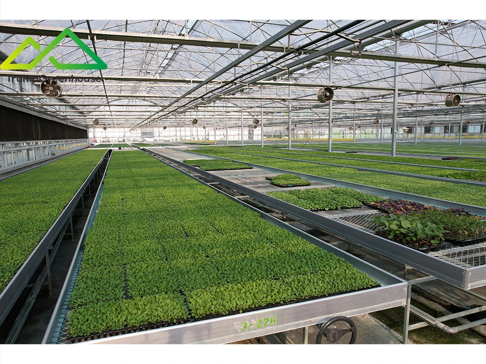 Greenhouse Center Pivot Irrigation System Irrigation Hydroponics ...