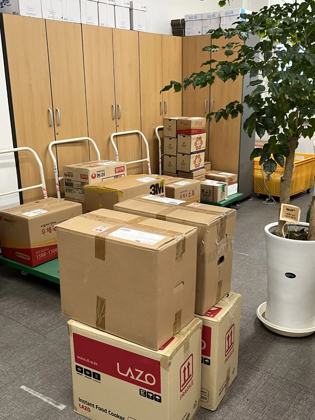 Lazo Compact Electric Korean Noodle Induction Cooker