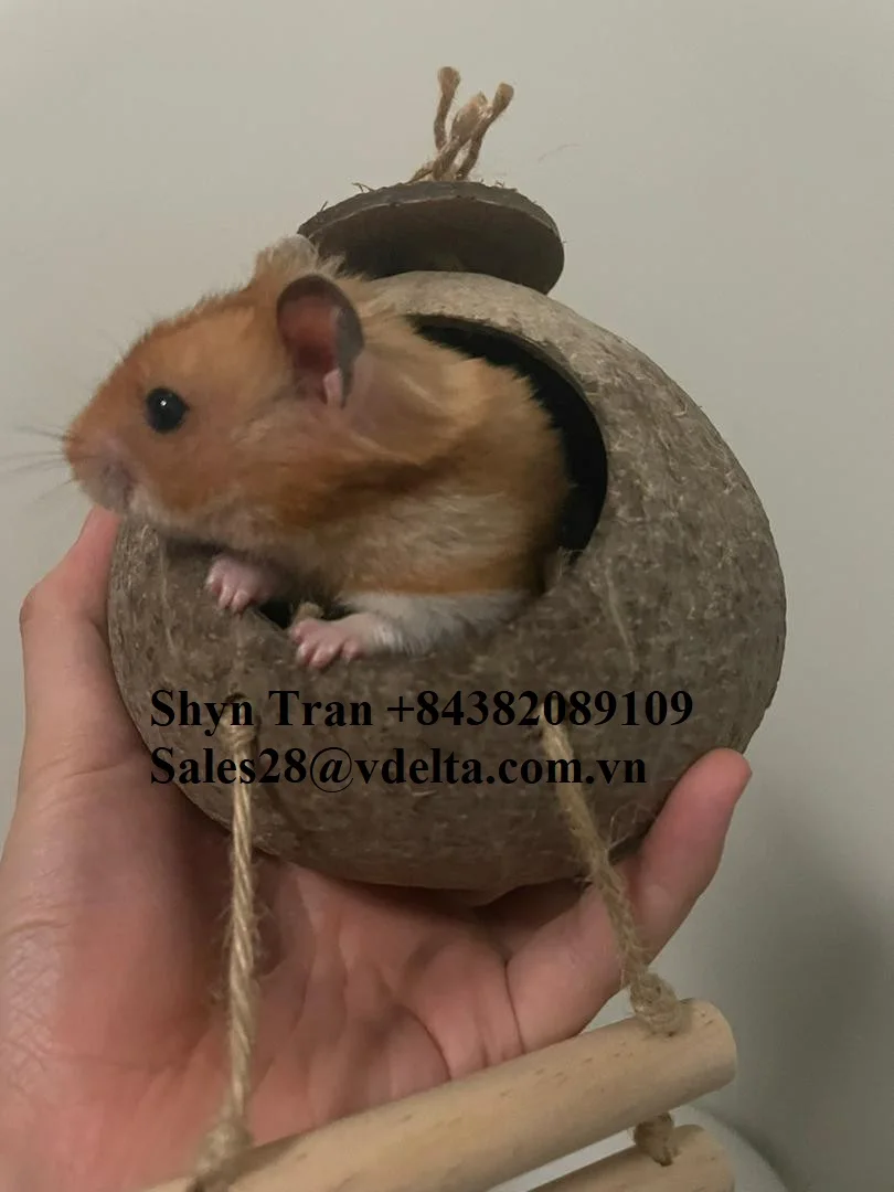 Coconut Shell Bird Nest House From Vietnam/ Natural Outside Hanging ...