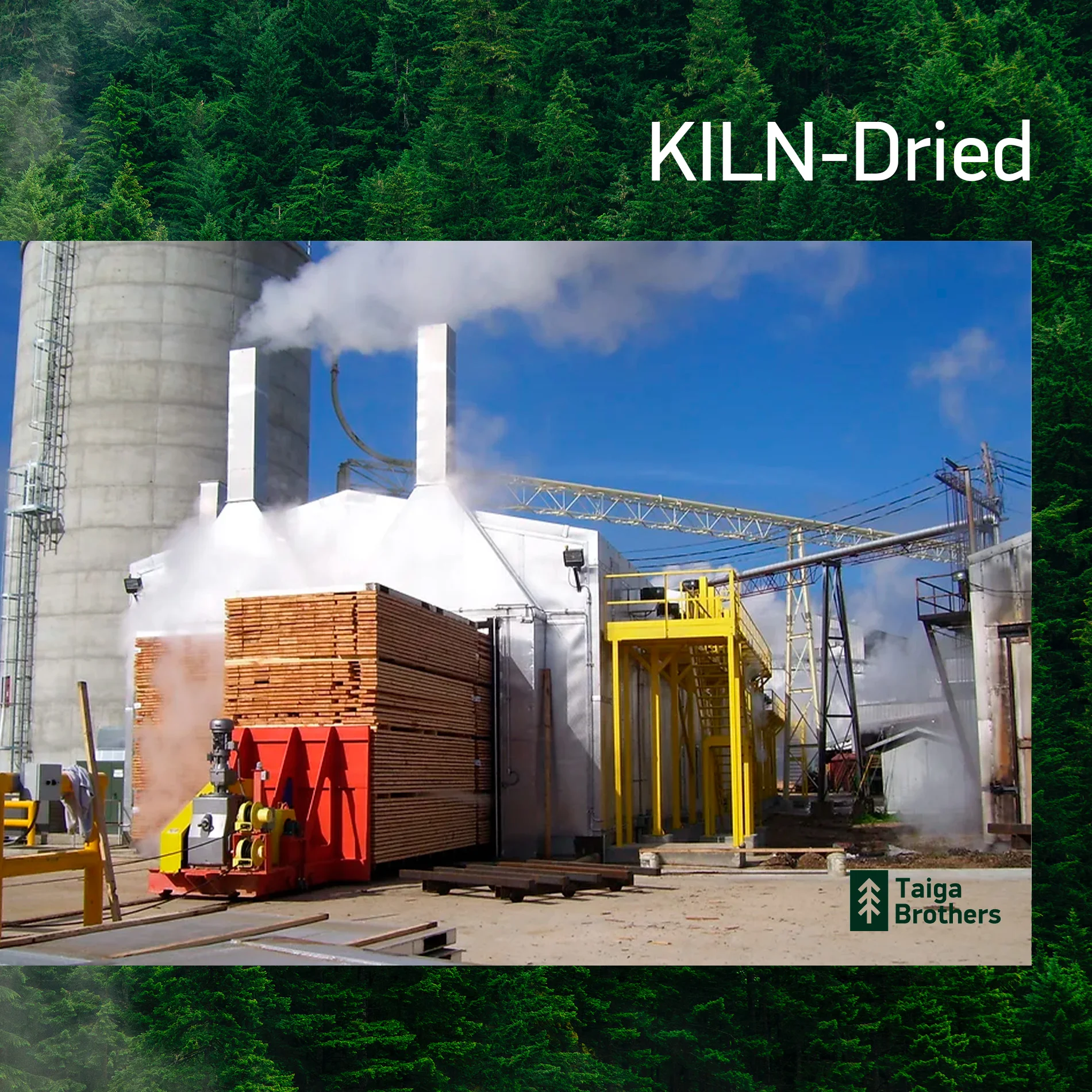 Planks Sawn Wood Timber Pine Spruce Planed Lumber Kiln Dried Wooden ...