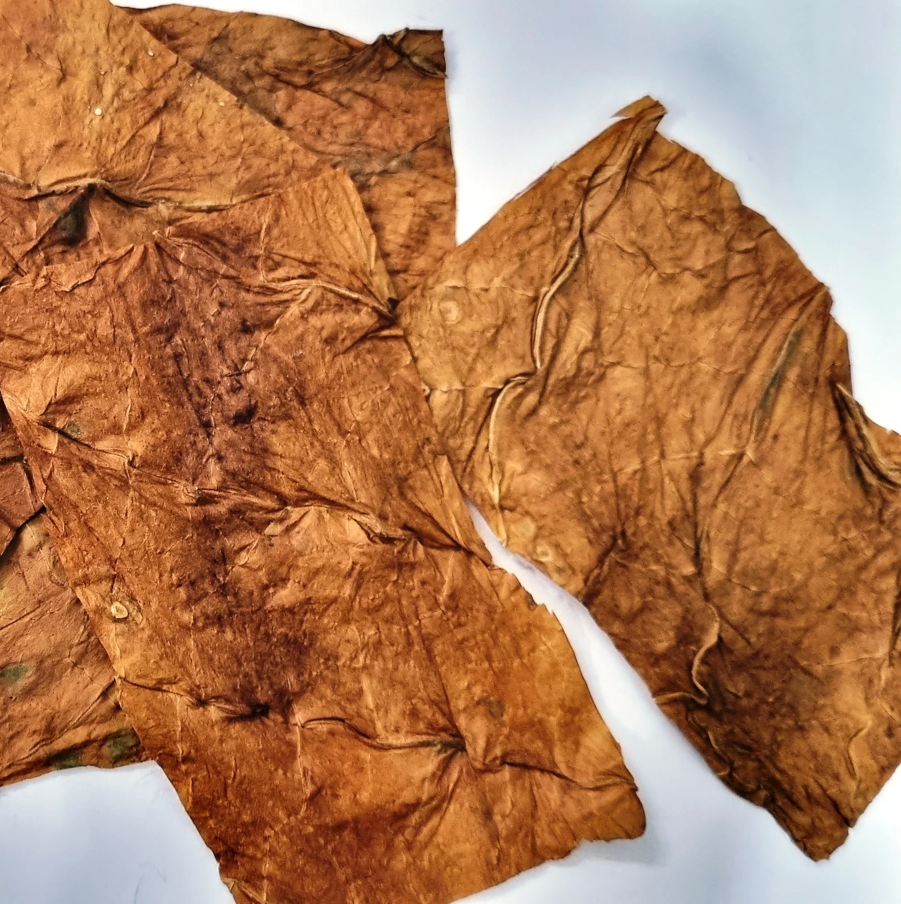 Natural Herbal Brown & Green Loose Rolling Leaf Perfectly Cut Leaves ...