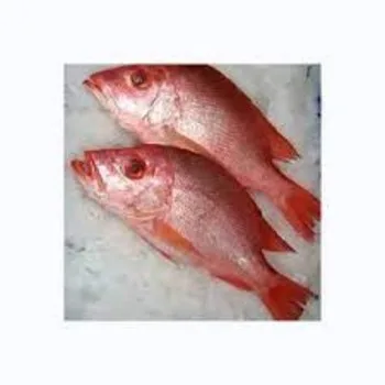 Frozen Fish Red Seabream,Frozen Fish Red Seabream Suppliers - Buy ...