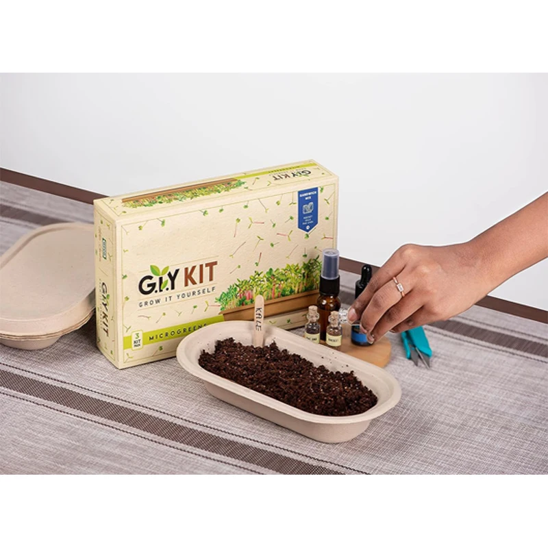 3 Tray Wrapped Garden Small Kit Micro Green Salad Mixed Spinach Radish ...