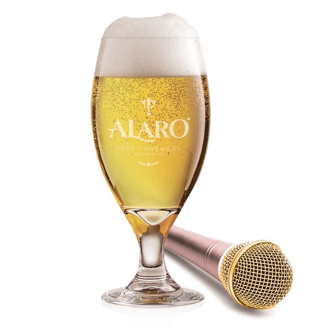 Wholesale Ariana Beer Bottle 330ml-500ml Tiger Beer For Sale| Alibaba.com