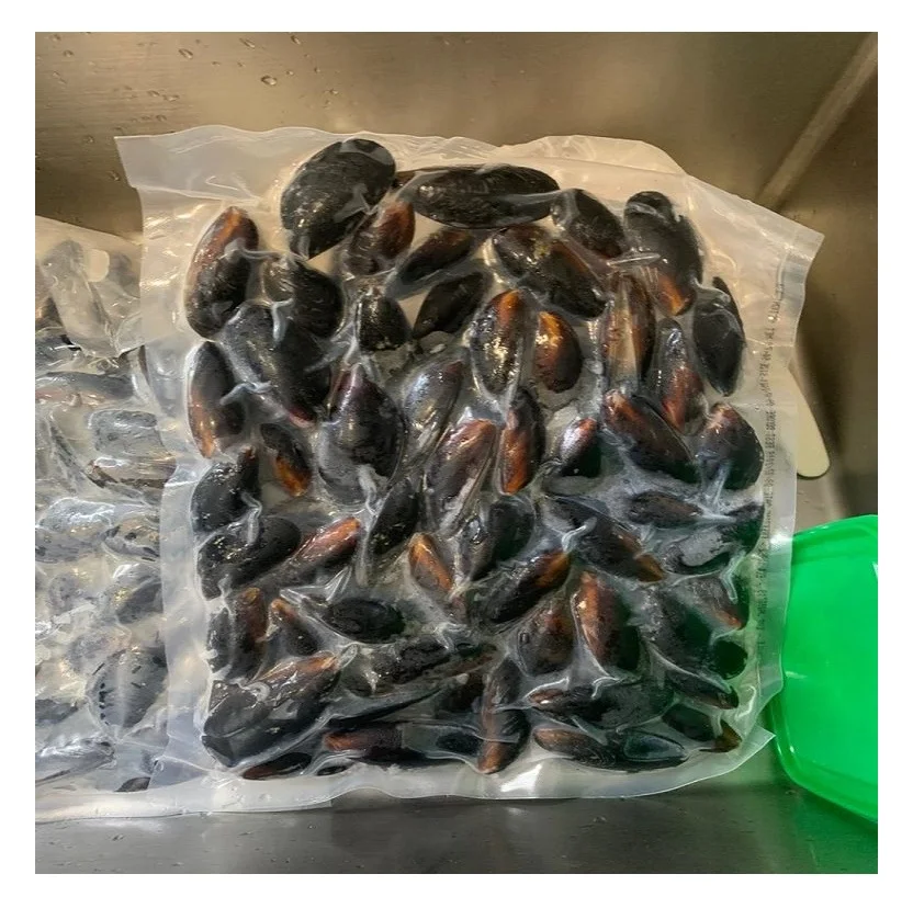 Frozen Half Shell Mussel - Buy Best Quality Hot Sale Price Frozen ...