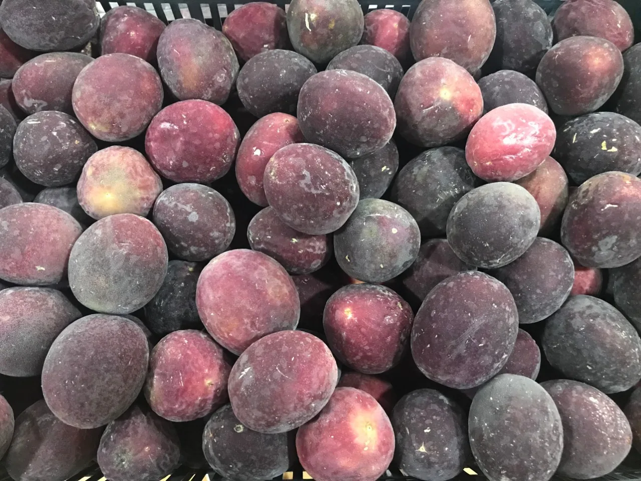 Frozen Passion Fruit Pulp - Bursting with Tropical Sweetness, Available ...