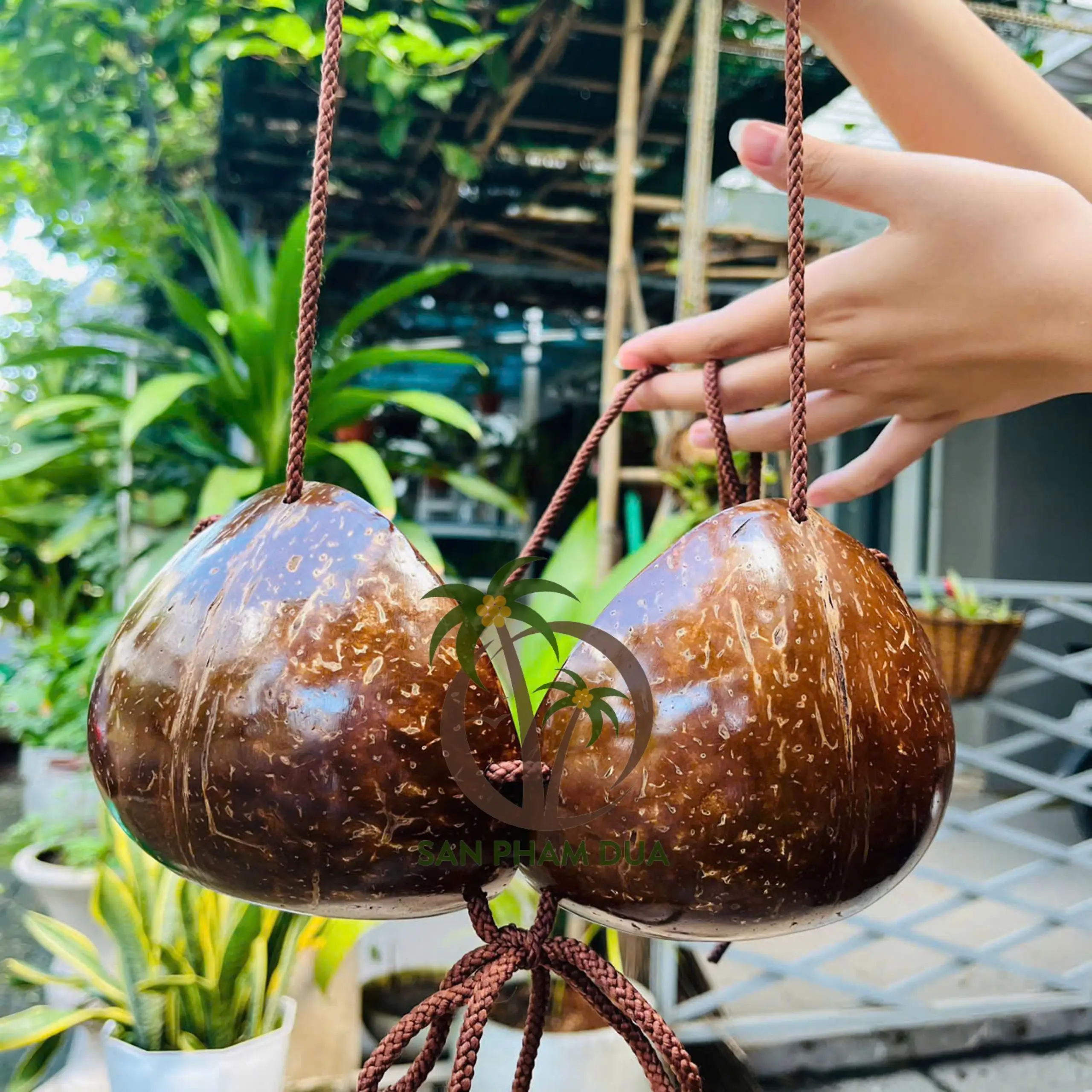 Alibaba.com: Coconut Shell Bra, Traditional Festival Costume, Wholesale ...