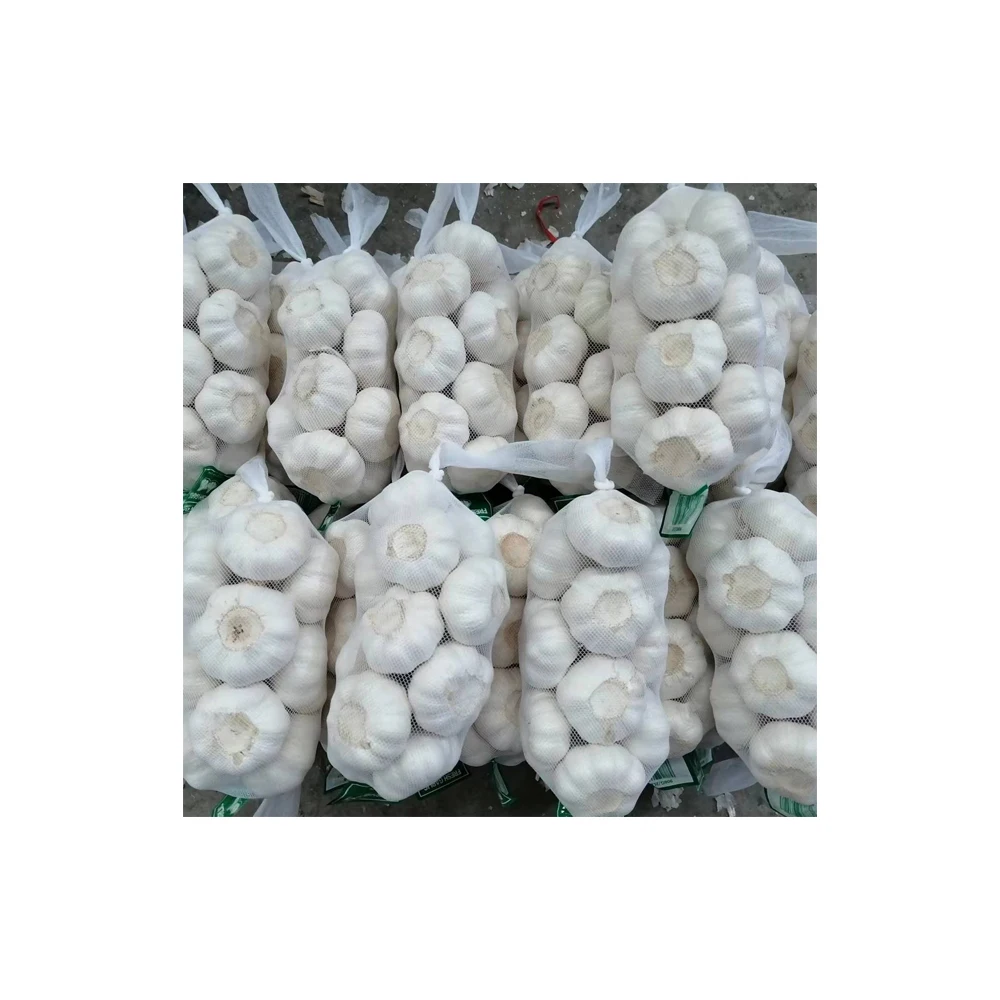 Fresh Garlic Producers 2021 New Crop Garlic Price - Buy Vegetables ...