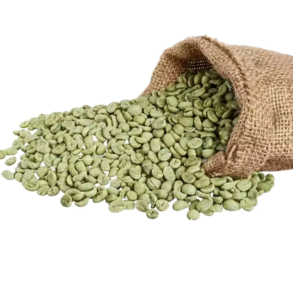 Bulk Green Coffee Beans Organic Arabica Coffee Beans Wholesale Green ...